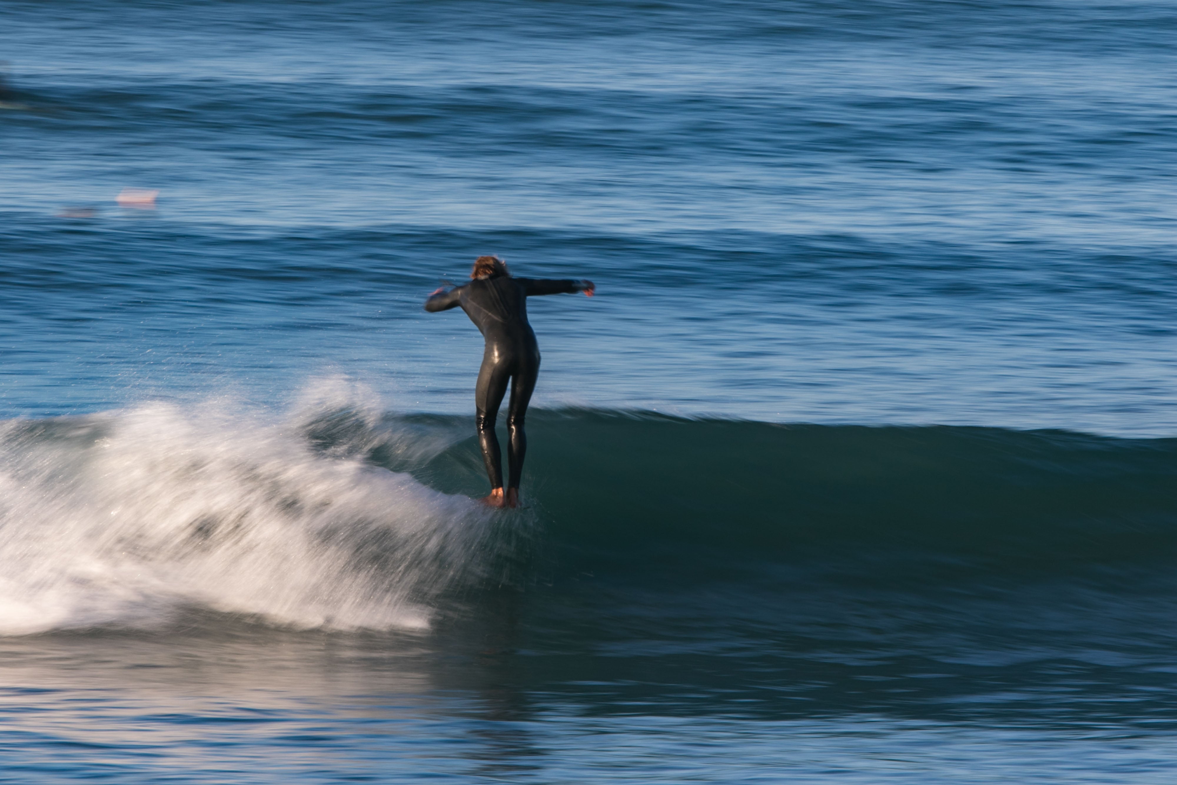 Leashes – Kookapinto